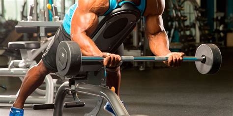 Бицепс Список упражнений для бицепса