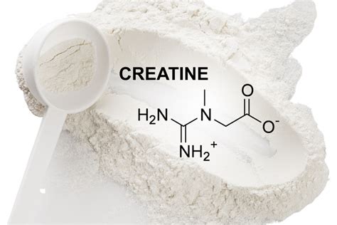 What Is Creatine Monohydrate And How Does It Work Create Wellness
