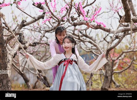 Zaozhuang China March 24 2023 Hanfu Lovers Swim Under Flowers On