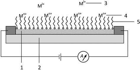 Preparation Method Of Polypeptide Gold Nanoparticle Based Metal Ion Detection Biosensor Eureka