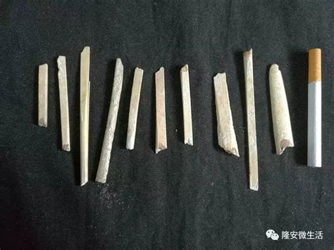 隆安先人真牛考古发现骆越人新石器时代就会针灸