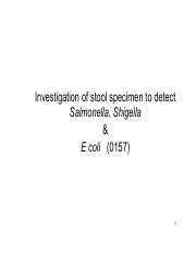 Investigation Of Stool Specimen Detecting Salmonella Shigella