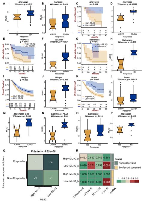 Predictive Value Of The Mliic Signature In Immunotherapy Response A