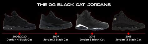 Black Cat Jordans Bring Elegance And Drip To The Table