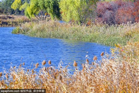 亦庄新城滨河公园的通明湖公园初冬景色