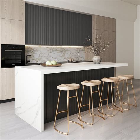 Modern Black And White Kitchen Design