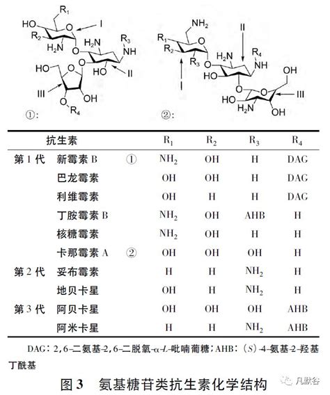 氨基糖苷类抗生素 随意云