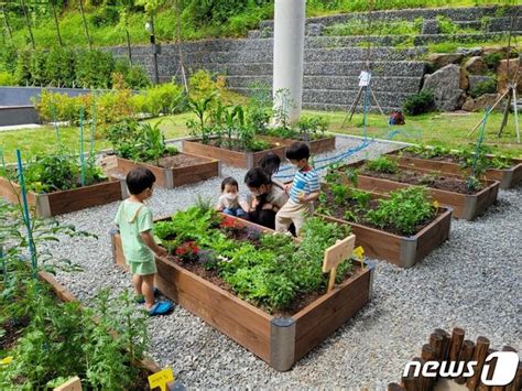 은평구 공공·민간시설 대상 도시텃밭 조성사업 공모 뉴스1