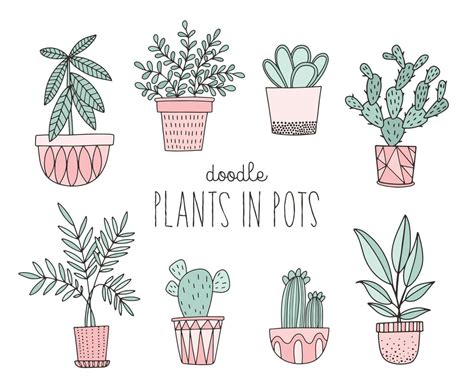 Hand Drawn Potted Plants Succulents And Other Plants In Pots In Doodle