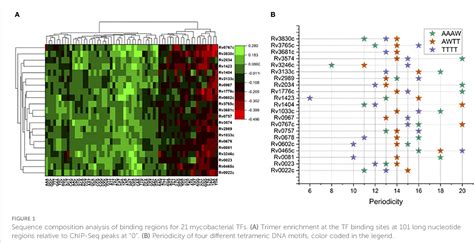 Figure 1 From Dna Structural Properties Of Dna Binding Sites For 21