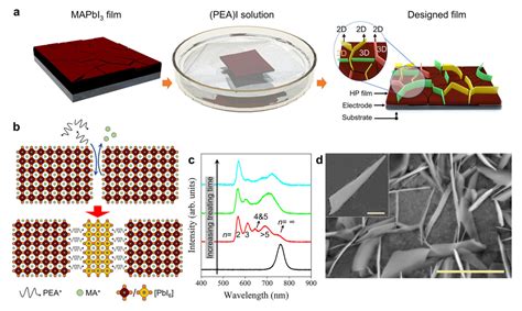 中科院深圳先进院唐永炳团队：研发出多功能型的高效电池电极材料 材料牛