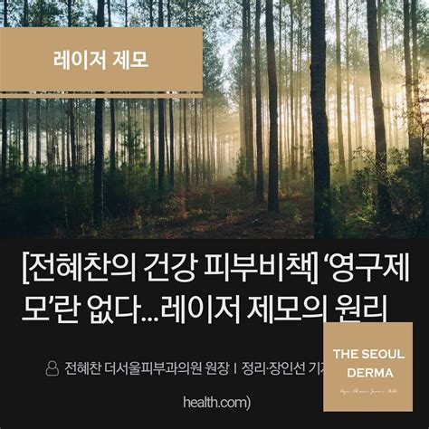 더서울피부과의원 전혜찬의 건강 피부비책 레이저 제모의 원리 퇴행기에 들어가면 레이저 제모