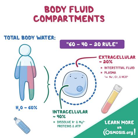 Rishi Desai On Twitter Osmosismed Its Mondaytime For Another Physiology Feature Today We