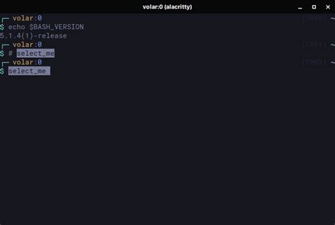 Pasteselection Leaves Pasted Text Inverted · Issue 4908 · Alacrittyalacritty · Github