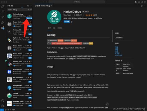 100天rust从入门到入狱 第1天 环境安装（macos）