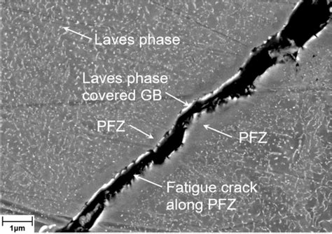 Fatigue Cracking Within Particle Free Zones Pfzs In Conventionally Download Scientific