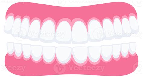 Teeth With Braces Orthodontic Treatment Tooth Braces Teeth With