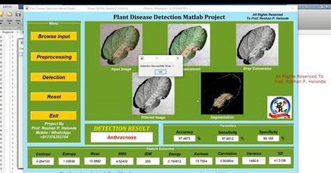 Plant Disease Detection Using Image Processing Matlab Project Plant