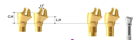 Megagen 17˚ Multi Unit Angled Abutment Nc PatÁkovo
