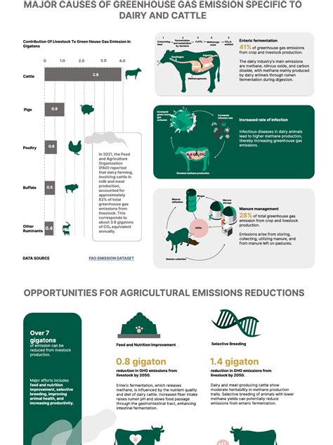 Primary Sources Of Greenhouse Gas Emissions In Dairy And Cattle Farming Institute For