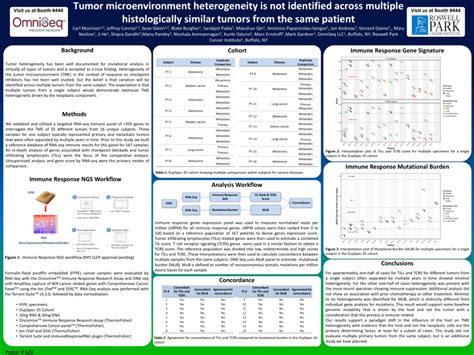 Pdf Tumor Microenvironment Heterogeneity Is Not Identified Across