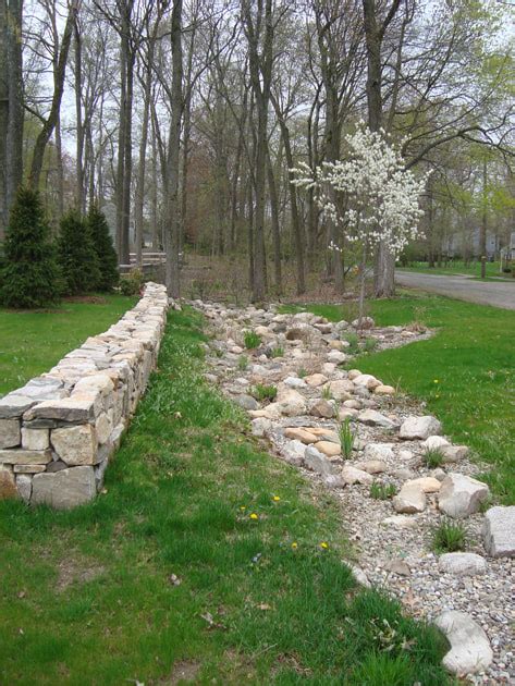 Wetland And Native Plants Garden Garden Design New Canaan Ct Growing