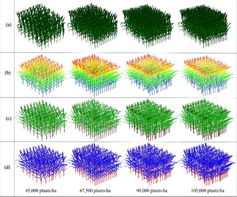 Figure 15 From A Two Stage Leafstem Separation Model For Maize With High Planting Density With