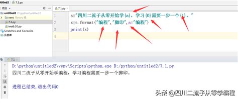 Python字符串替换 学习编程第167天 Python编程 使用format方法灵活替换字符串设计资源叔未授权