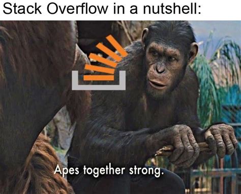 Apes Together Strong Image Gallery Know Your Meme