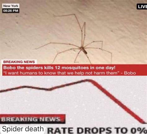 Bobo The Hero Rdankmemes