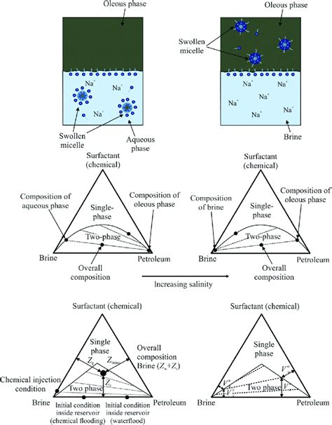 Ternary Phase Diagrams Explained