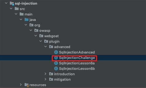 Codeql Lost Some Class Parsing When Parsing The Project And Building