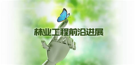 林业前沿科技 林业技术创新 林业现代化技术 大山谷图库