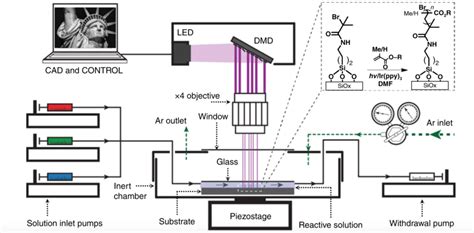 Nanoscale 4d Printing Technique Recreates Cell Surfaces Polymer Brush Hypersurface