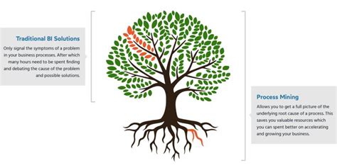 Bright Cape On Linkedin Processmining Efficiency Optimization