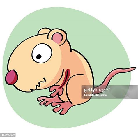 Nutria Cartoon Photos And Premium High Res Pictures Getty Images