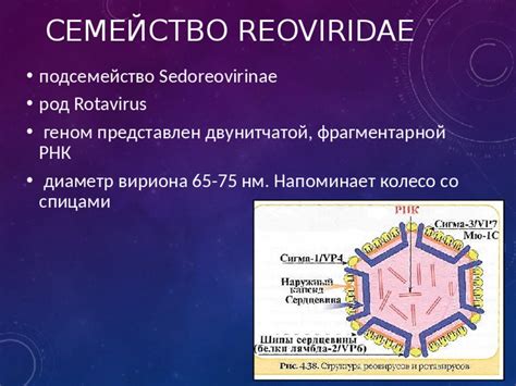 Возбудители кишечных вирусных инфекций Возбудители энтеральных гепатитов презентация онлайн