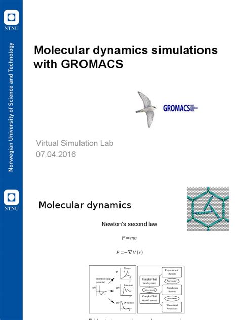 Molecular Dynamics Simulations With Gromacs Virtual Simulation Lab 07
