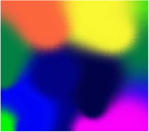 Self Organizing Map On Fpga Rfpga