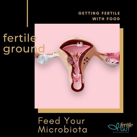 Fertile Gut Whats In Your Peritoneal Fluid Peritoneal