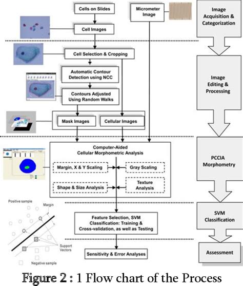 Figure 2 From An Analysis On Cervical Cancer Classification Of Medical Digital Images Using
