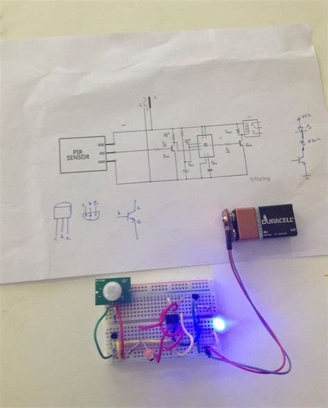 My First Circuit