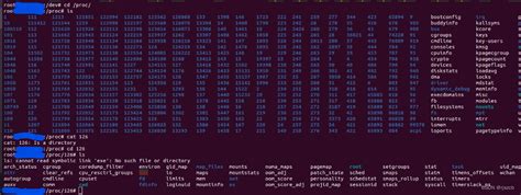 Linux Proc目录和 Sys目录(一)proc与sys Csdn博客 Linux Proc目录和 Sys目录(一)proc与sys Csdn博客