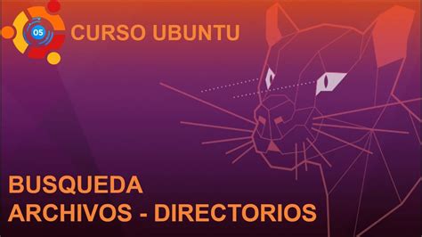 如何在linux ubuntu上查找文件？