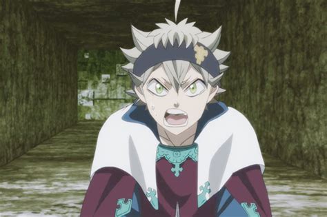 黑色四叶草魔导书都能升级吗三叶草能否最终变成五叶草 魔力