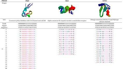 Cone Snails A Big Store Of Conotoxins For Novel Drug Discovery Pmc
