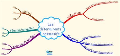 Les Déterminants Possessifs Ce1 Ce2 Maître Lucas