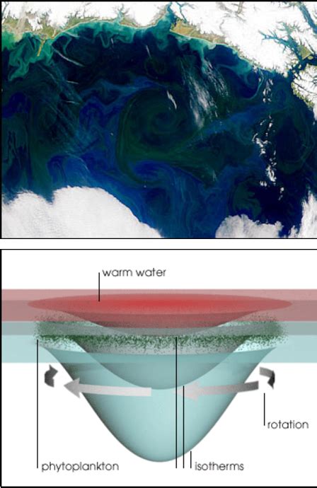 Figure 1 From A Novel And Scalable Spatio Temporal Technique For Ocean