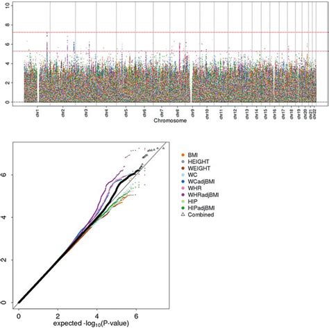 genome wide sex difference scan fails to pinpoint loci a manhattan