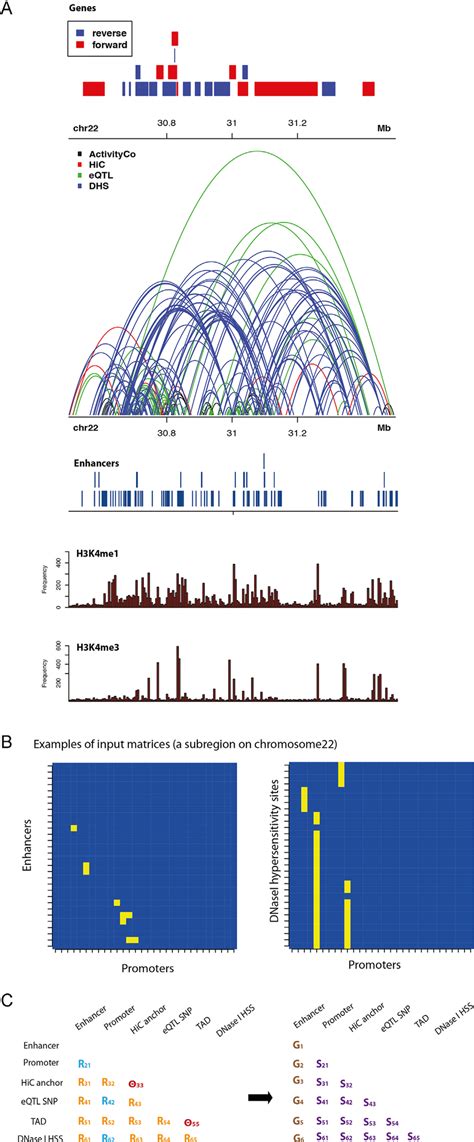 Schematic Representation Of The Swipe Nmf Framework Heterogeneous